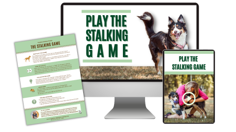 Predation Substitute Training | Force-Free Anti-Chasing Methods