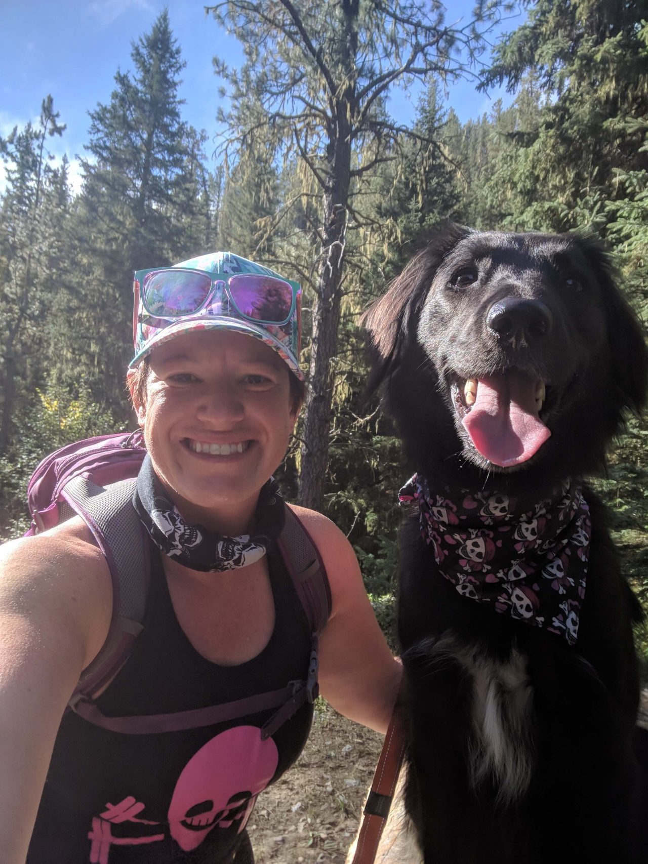 Certified Predation Substitute Dog Trainer - Predation Substitute ...