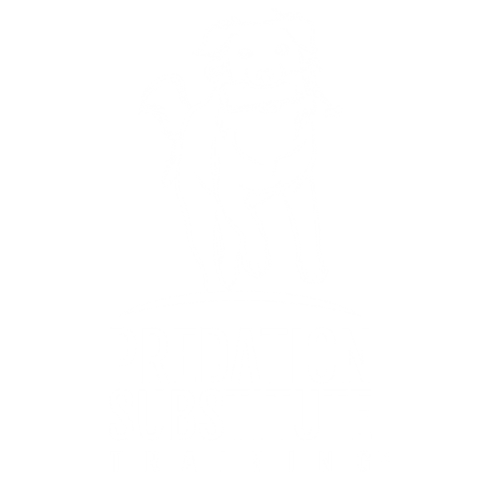 Predation Substitute Training | Force-Free Anti-Chasing Methods