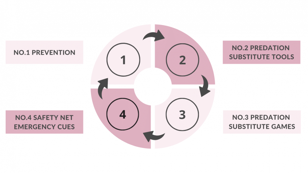Call off the Chase (PST Master Course)