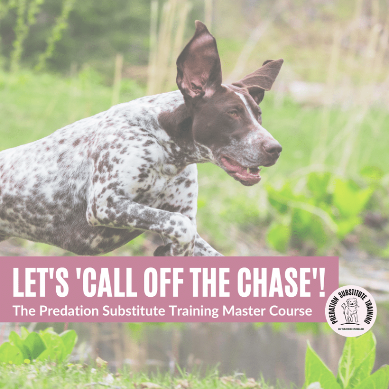 Hello - Predation Substitute Training - Simone Mueller