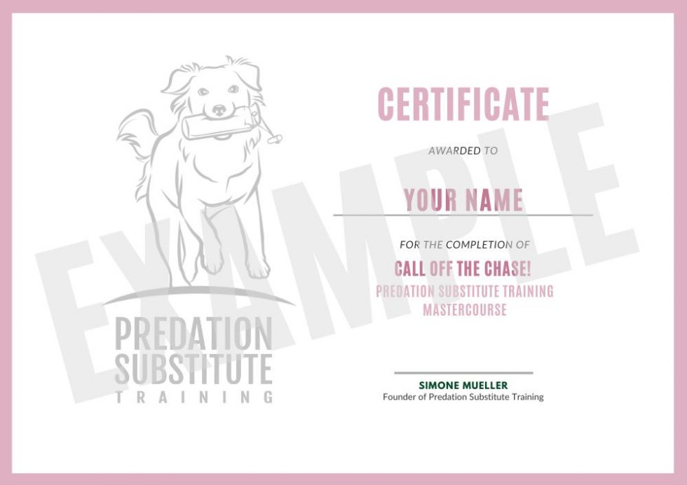 Call off the Chase (PST Master Course)