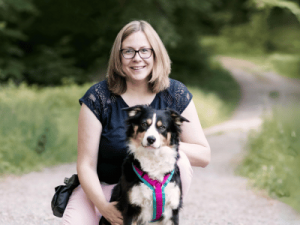 Why Car Chasing Isn't Hunting - Predation Substitute Training - Simone ...