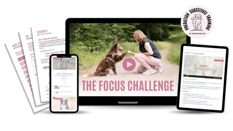 Predation Substitute Training | Force-Free Anti-Chasing Methods