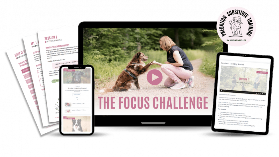 Predation Substitute Training | Force-Free Anti-Chasing Methods