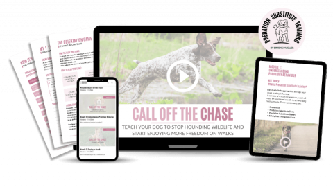 Predation Substitute Training | Force-Free Anti-Chasing Methods