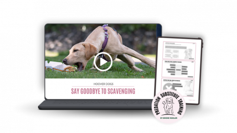 Predation Substitute Training | Force-Free Anti-Chasing Methods