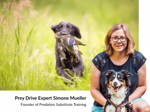 Predation Substitute Training | Force-Free Anti-Chasing Methods