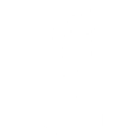 Predation Substitute Training | Force-Free Anti-Chasing Methods